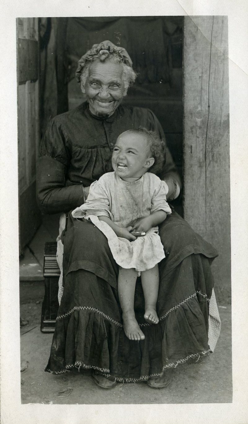 Vital Contributions 4 • Hastings Museum