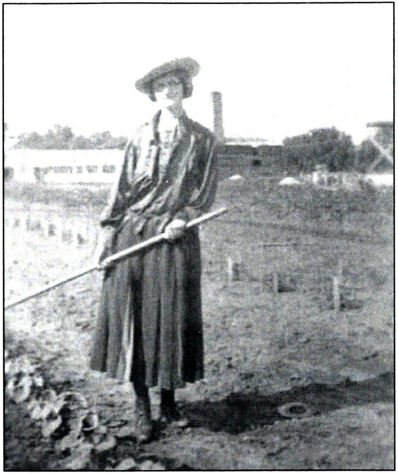 Vital Contributions 6 • Hastings Museum