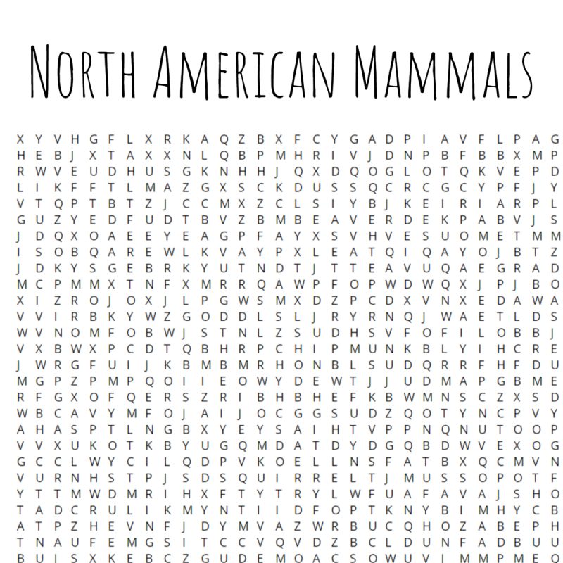 Digital Content – Activities & Downloads • Hastings Museum